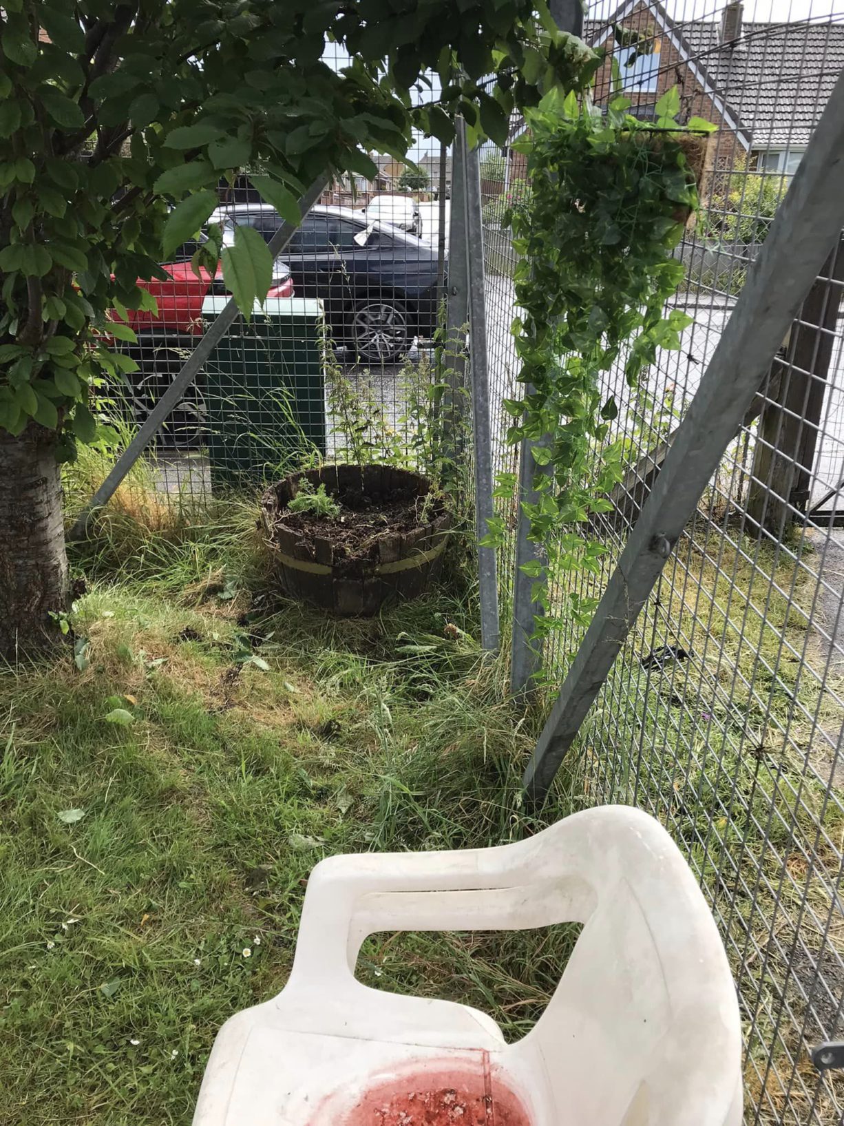Trowbridge Service Users Group Kicks Off Community Garden Project with ...